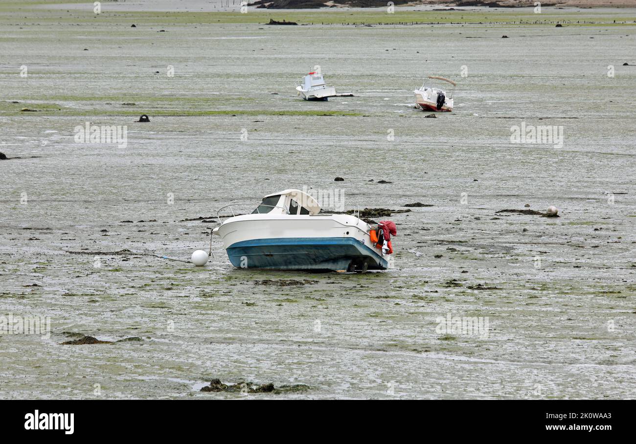 Stuck in quicksand hi-res stock photography and images - Alamy