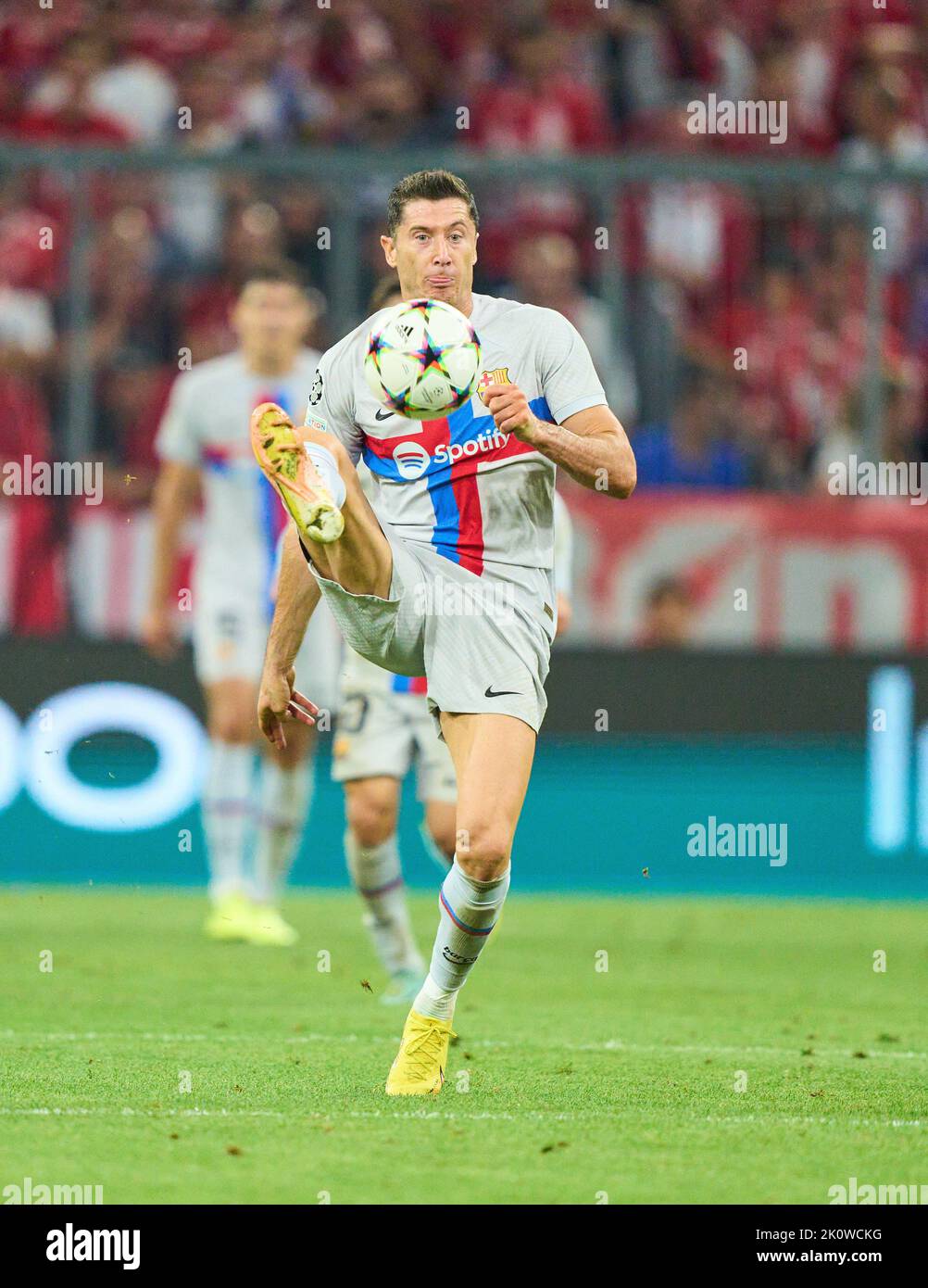 Lewandowski barca hi-res stock photography and images - Alamy