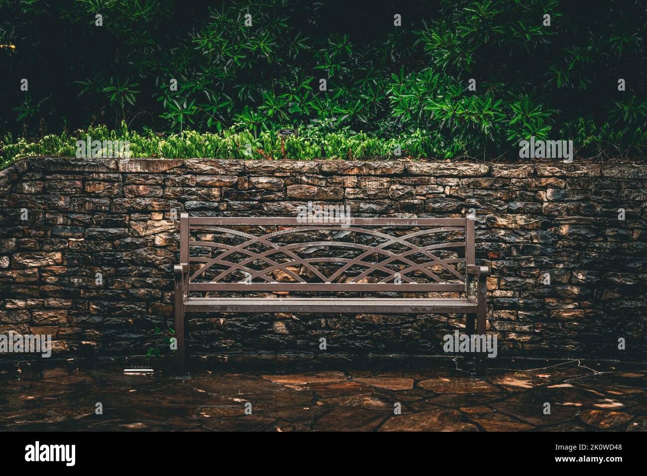 An empty bench in a park, dramatic and moody shot Stock Photo - Alamy
