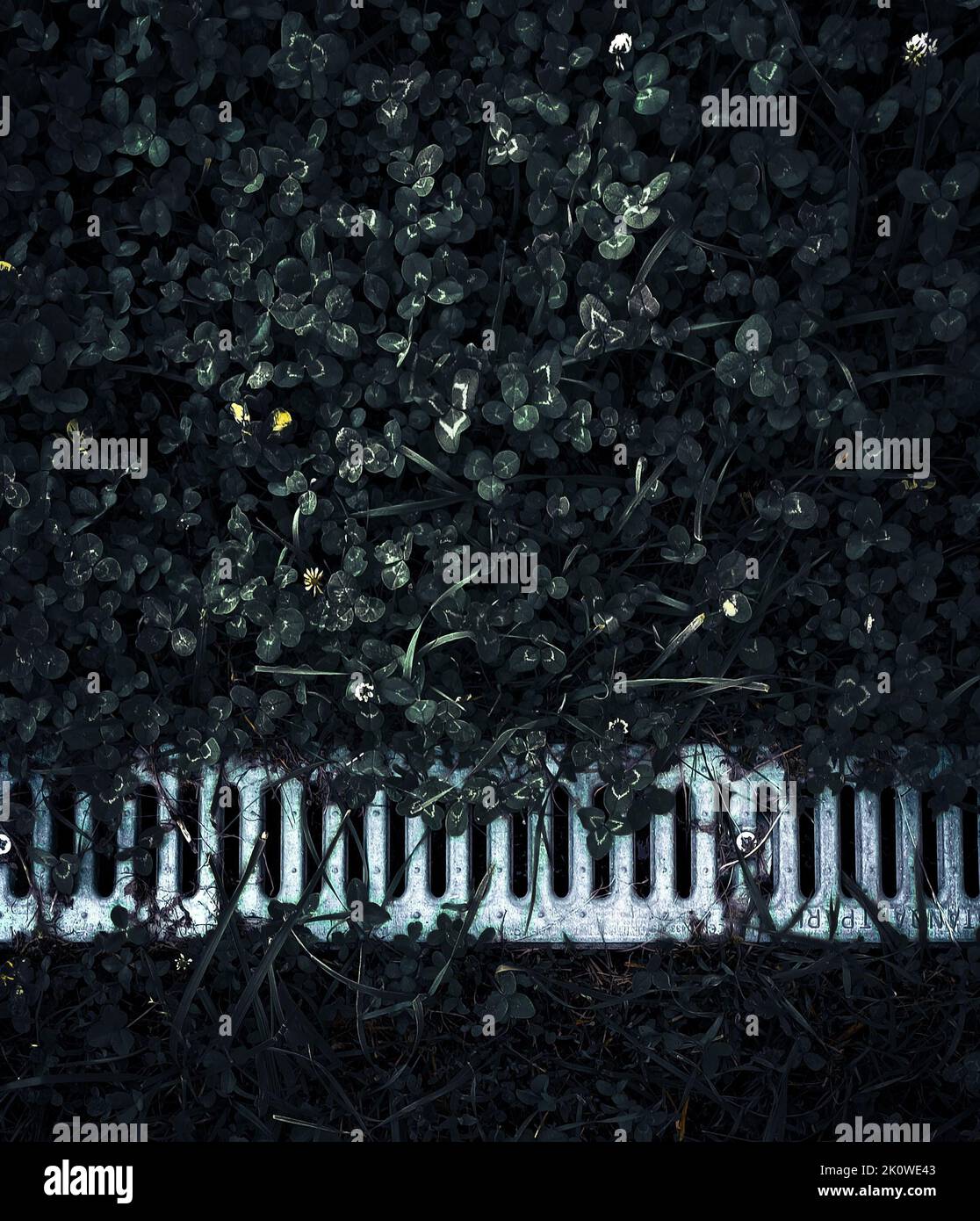 Piano surrounded hi-res stock photography and images - Alamy