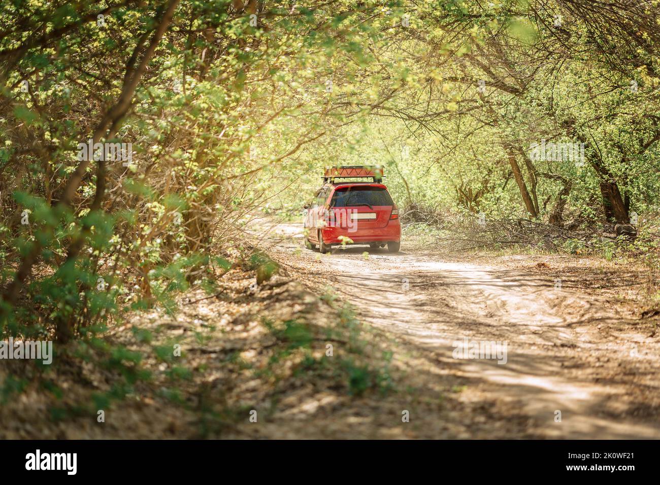 Red car drives along forest road on sunny spring day. View of ...