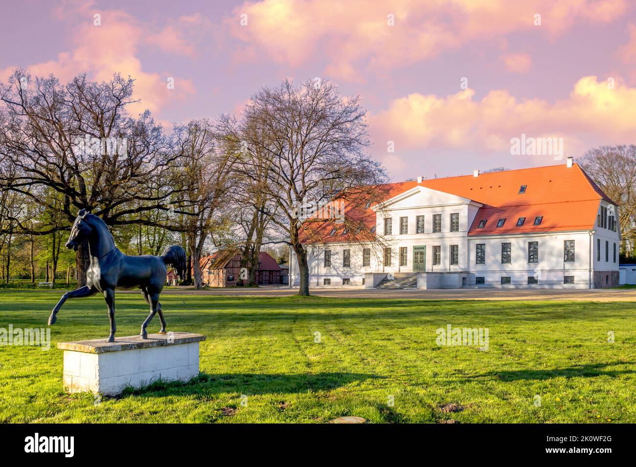 State stud horses redefin hi-res stock photography and images - Alamy