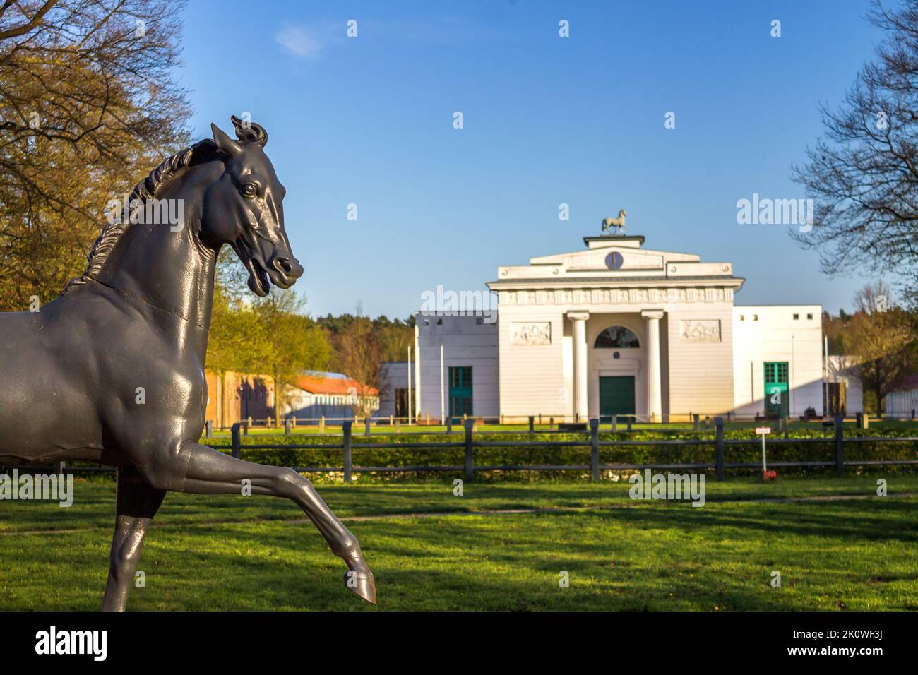 State Stud Horses Redefin, Redefin, Mecklenburg-Vorpommern, Germany ...
