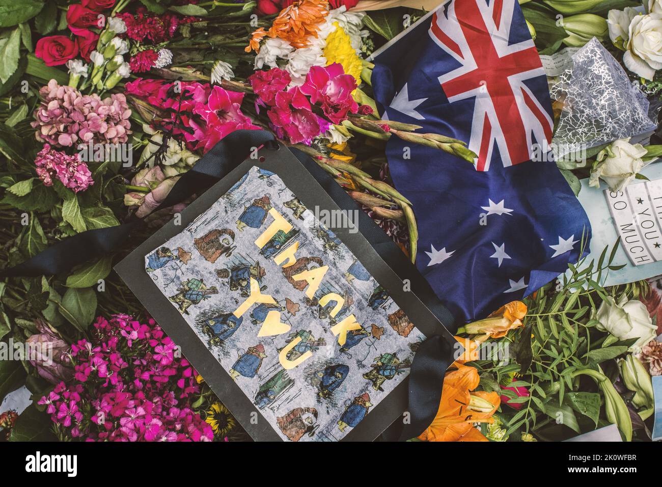 Thank you card queen elizabeth hi-res stock photography and images - Alamy