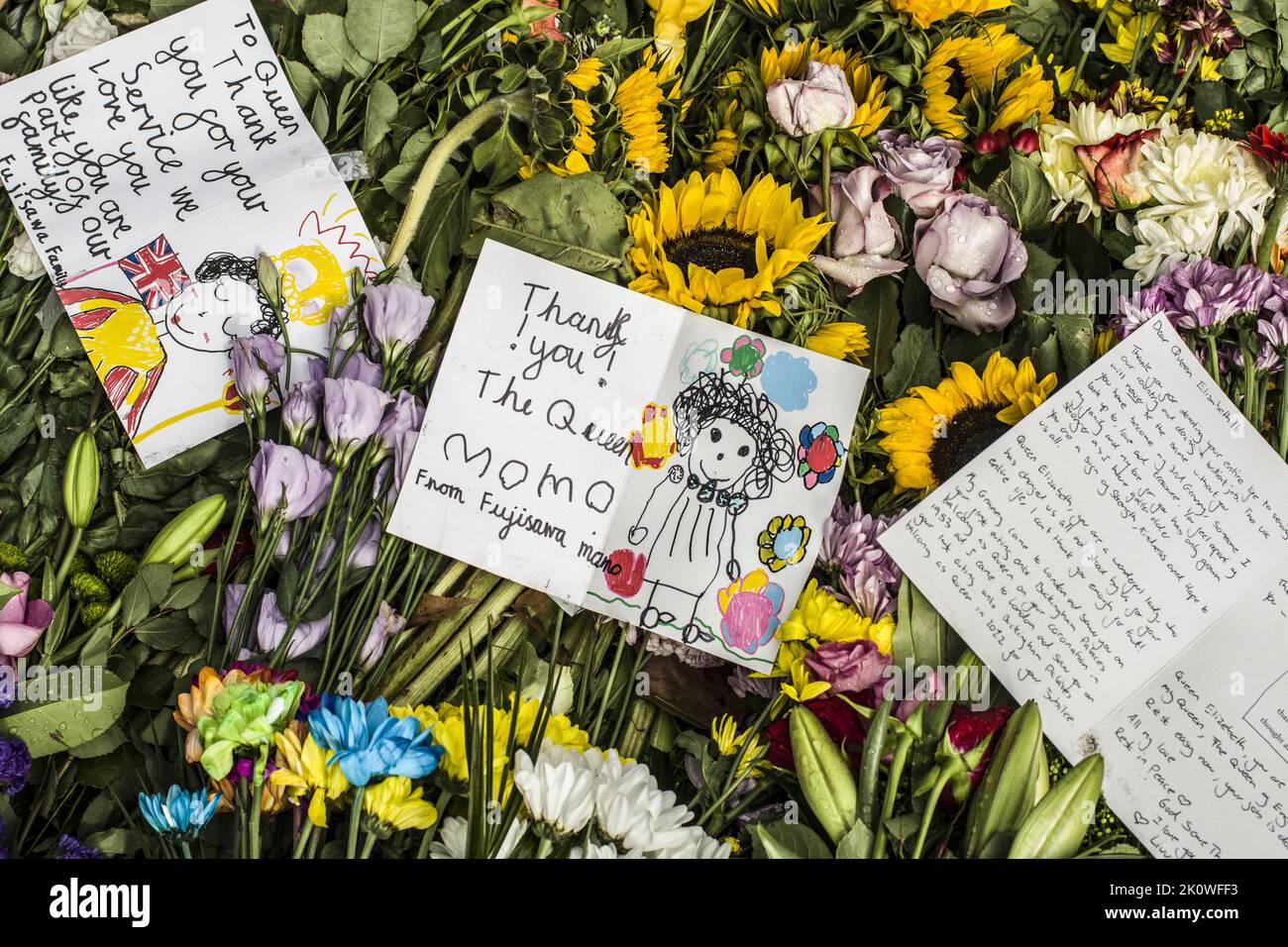Thank you card queen elizabeth hi-res stock photography and images - Alamy