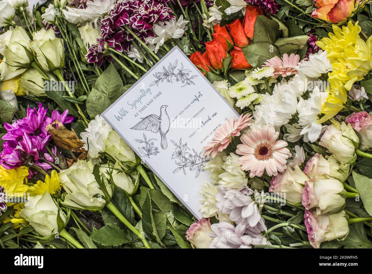 Queen Elizabeth floral tribute, London 2022 Stock Photo - Alamy