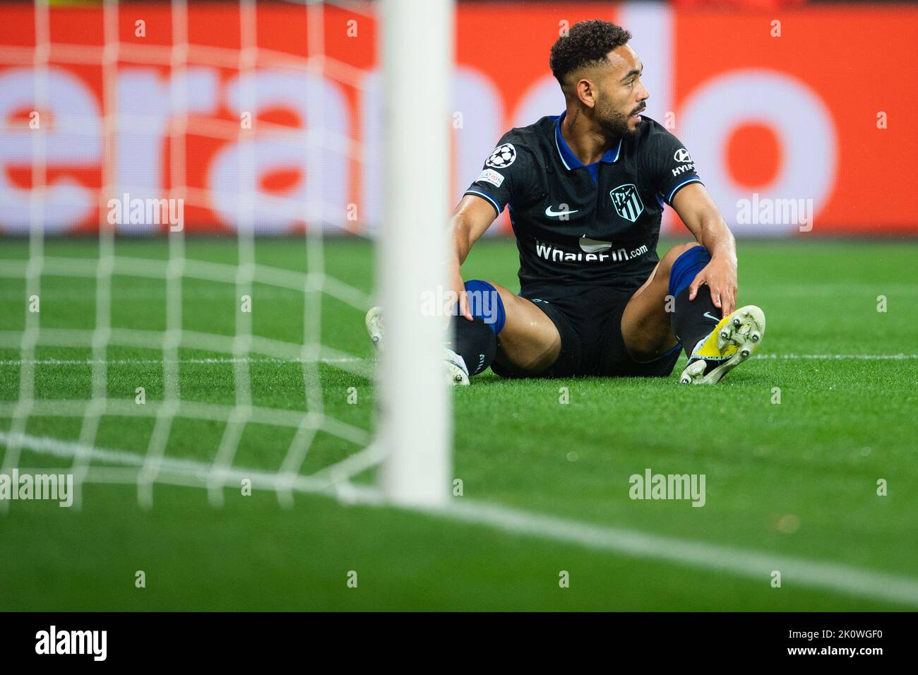 Matheus cunha bayer hi-res stock photography and images - Alamy