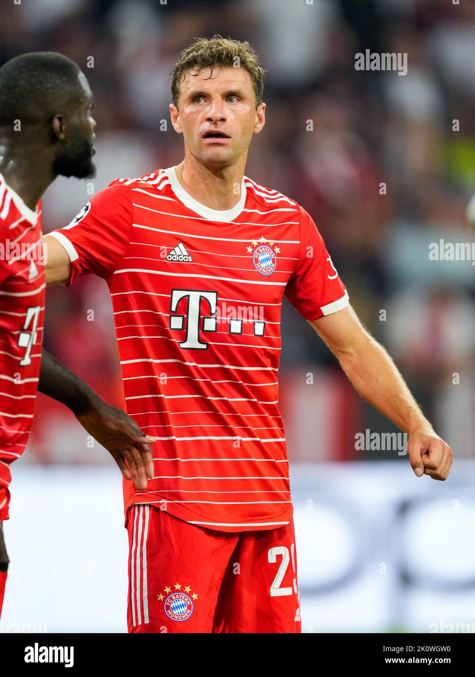 Munchen, Germany. 13th Sep, 2022. MUNCHEN, GERMANY - SEPTEMBER 13 ...