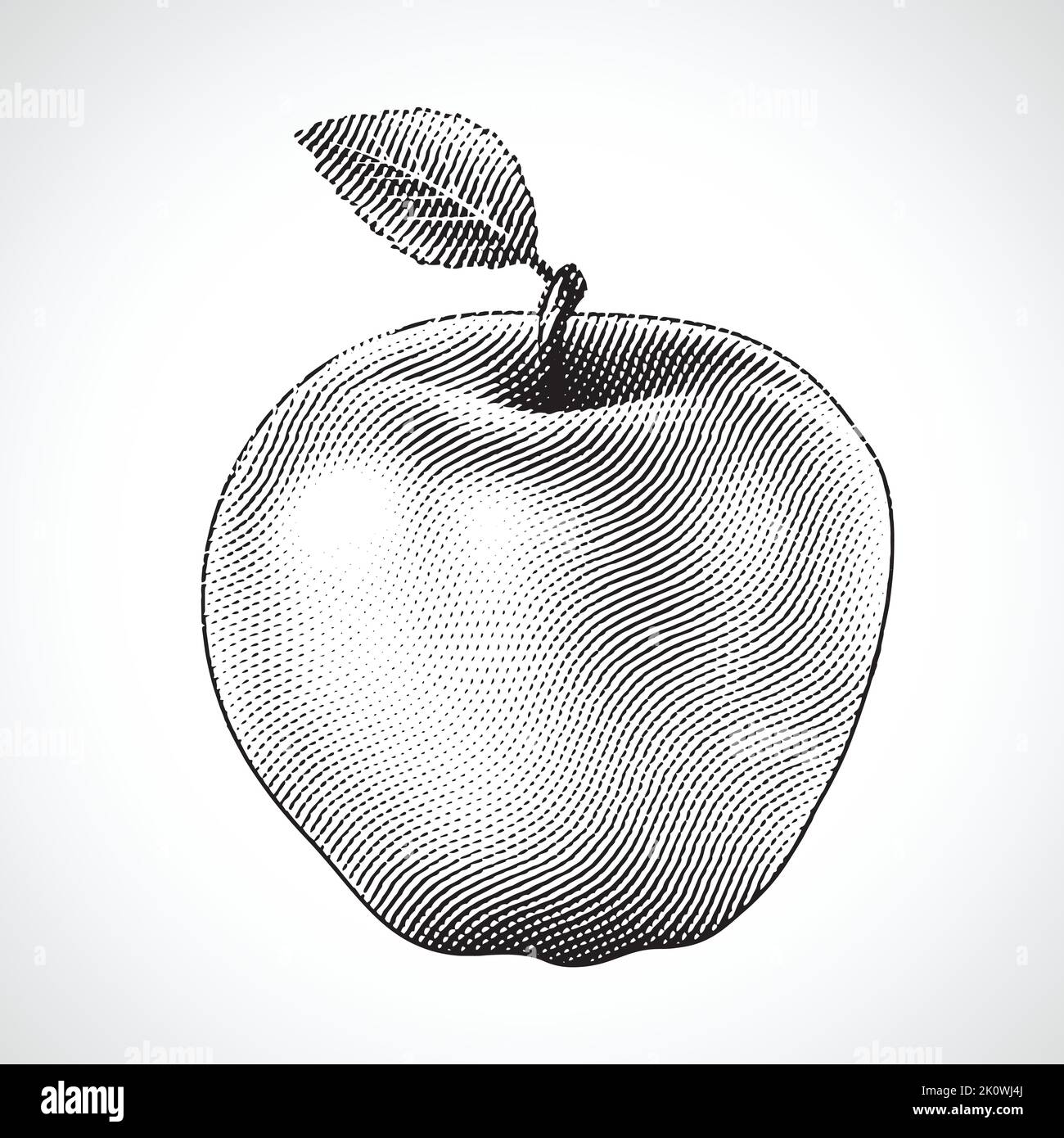 Illustration of Scratchboard Engraved Apple Stock Vector Image & Art ...