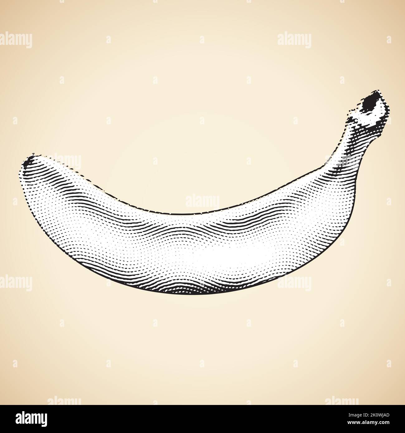 Illustration of Scratchboard Engraved Banana with White Fill Stock ...