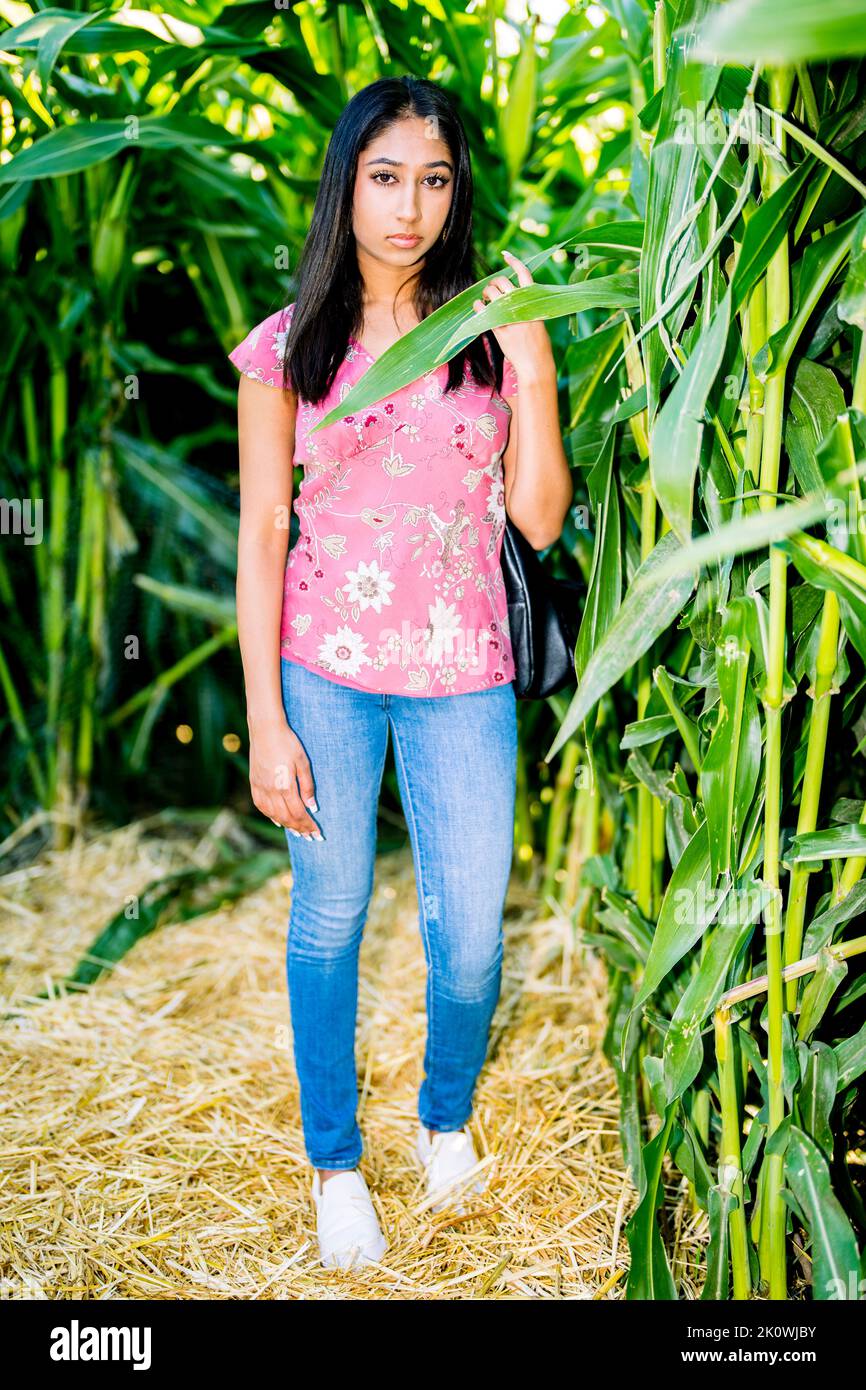 Fall Celebration Portrait of a Young Asian Woman in a Corn Maze Stock ...