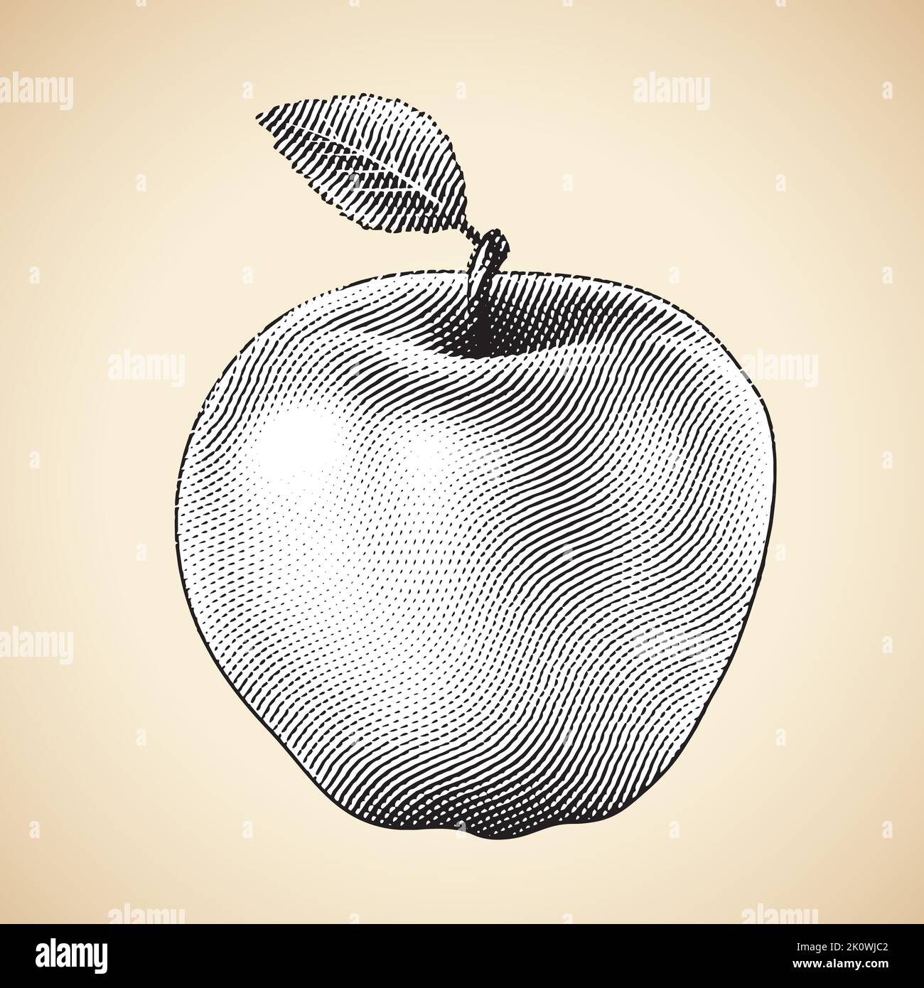 Illustration of Scratchboard Engraved Apple with White Fill Stock ...