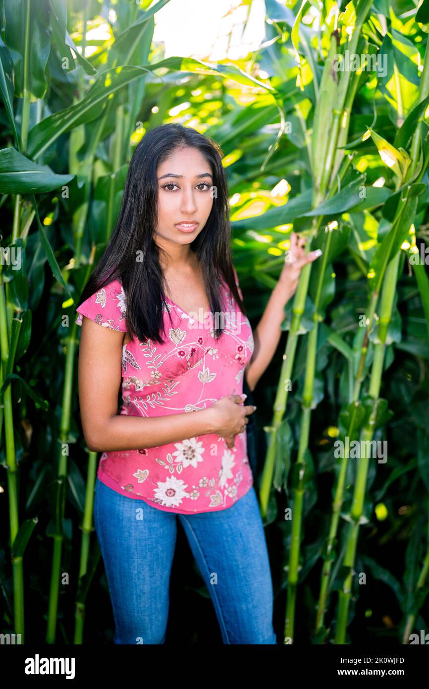 Fall Celebration Portrait of a Young Asian Woman in a Corn Maze Stock ...
