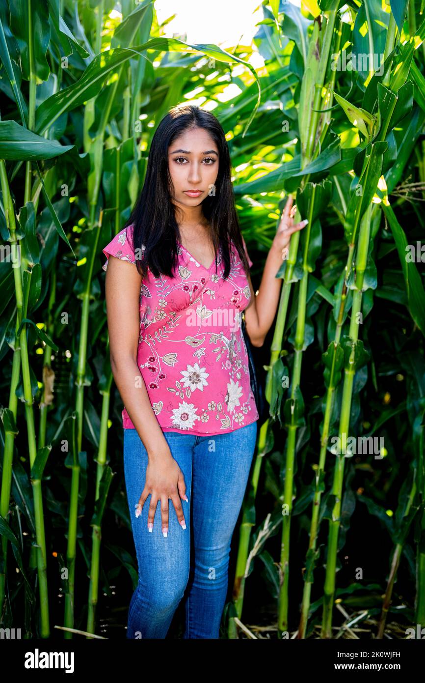 Fall Celebration Portrait of a Young Asian Woman in a Corn Maze Stock ...