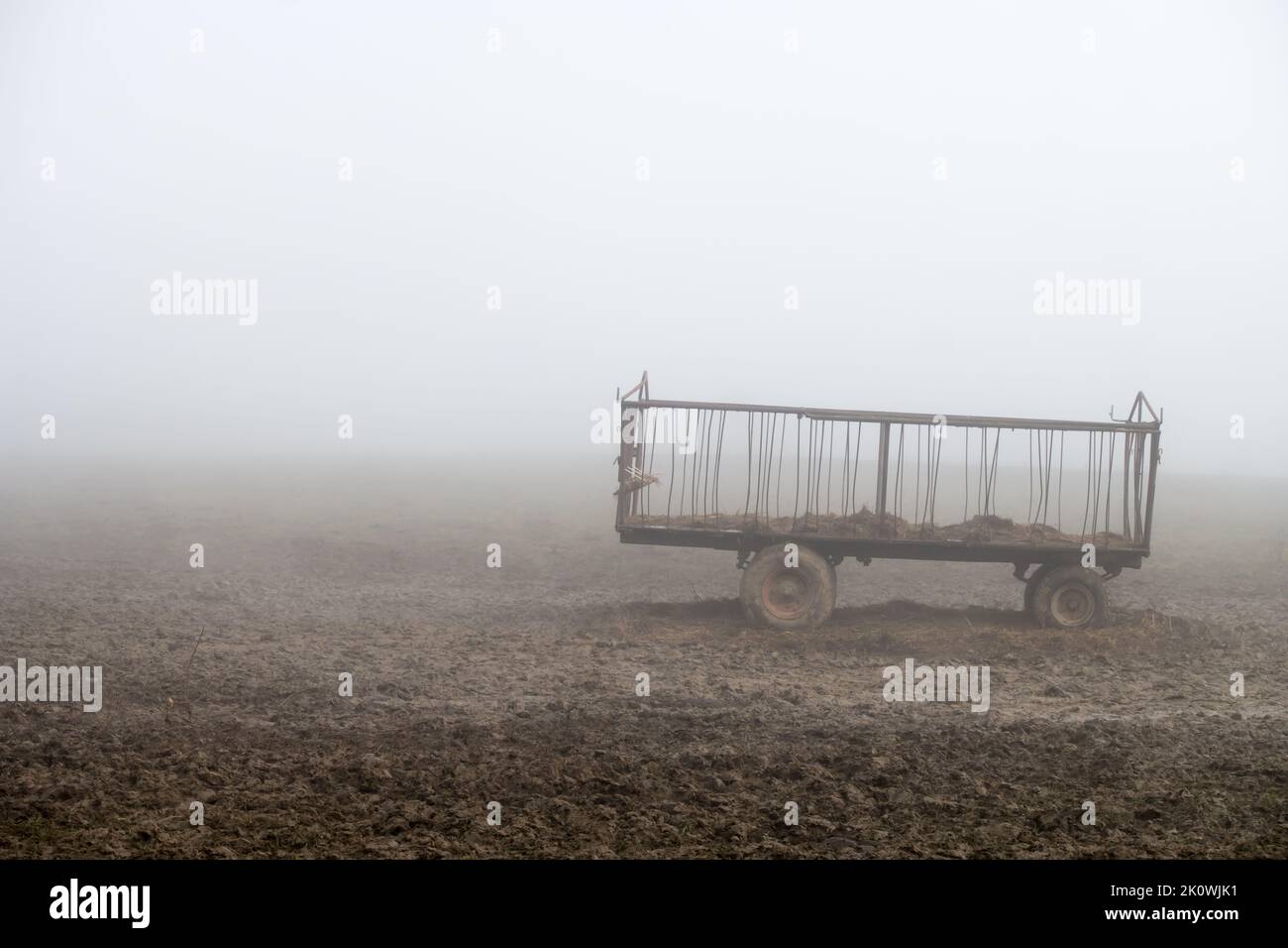 Transporting cattle container hi-res stock photography and images - Alamy