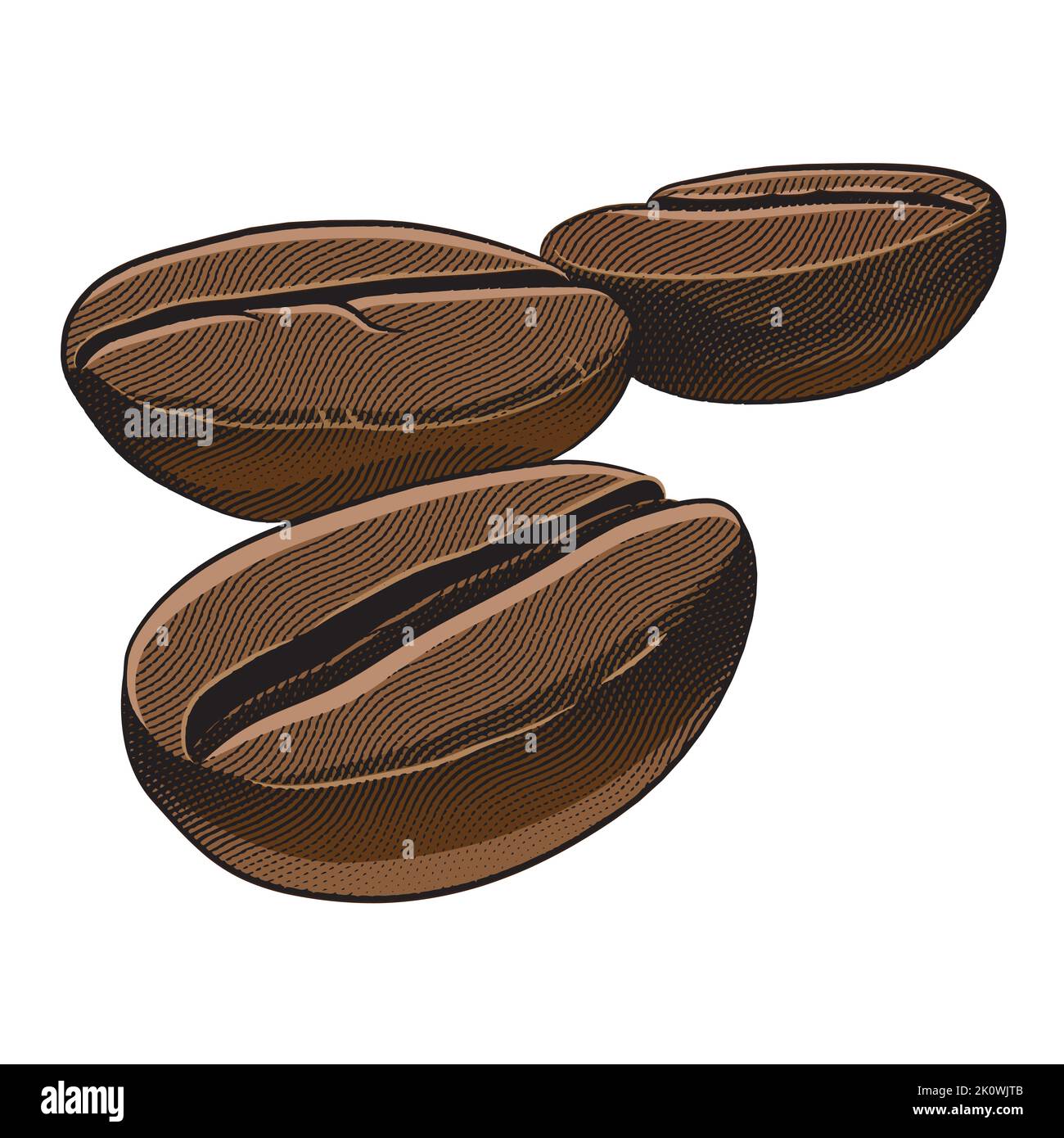 Illustration of Scratchboard Engraved Coffee Beans with Brown Fill ...