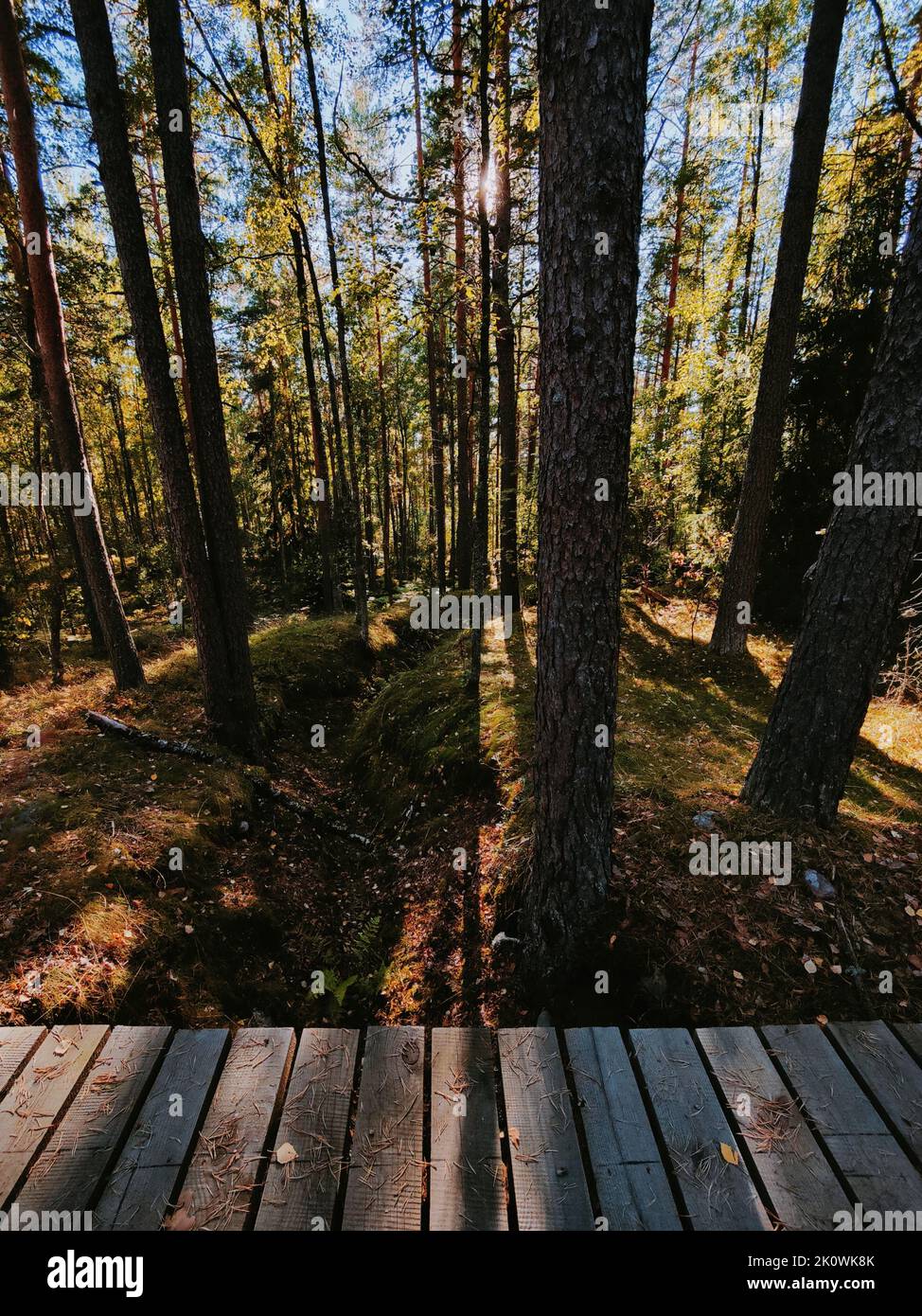 Walk way boardwalk path nature hi-res stock photography and images - Alamy