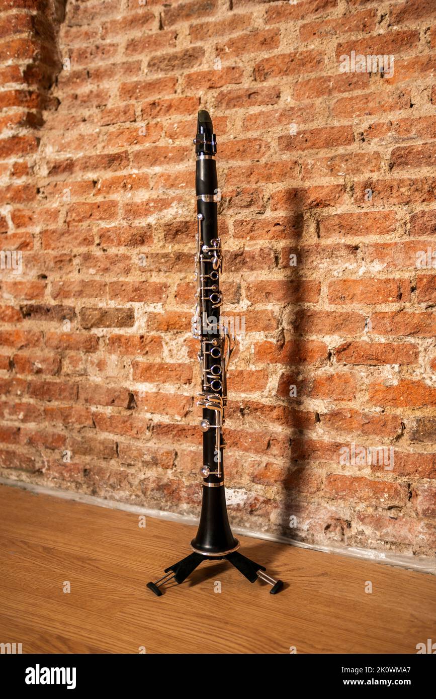The clarinet within the orchestra is in the woodwind section, along ...