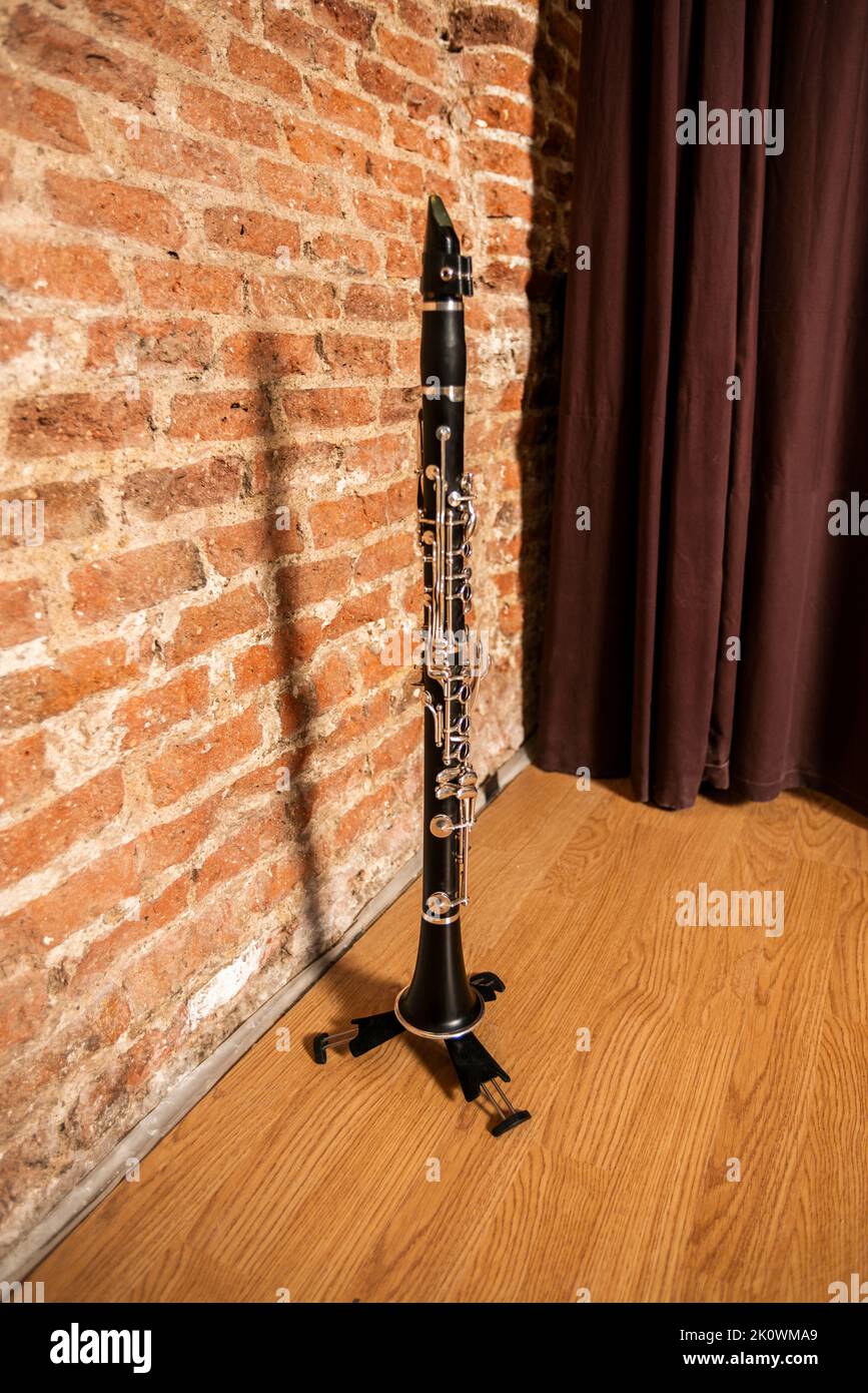 The clarinet is a musical instrument of the family of woodwind ...