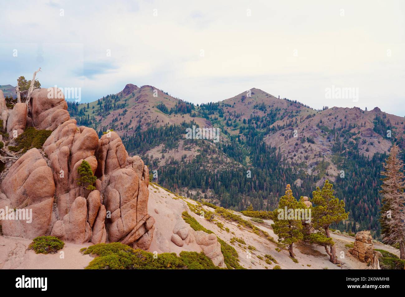 A natural view of a vast forest and mountain landscape in the ...