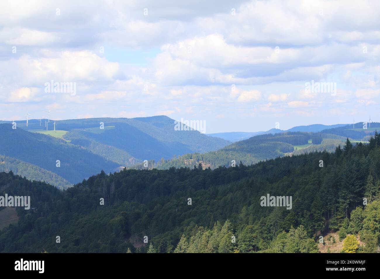 A natural view of a vast forest and mountain landscape in the ...