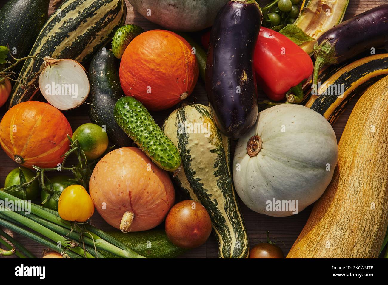 Various ripe autumn vegetables are laid out on the table. View from ...