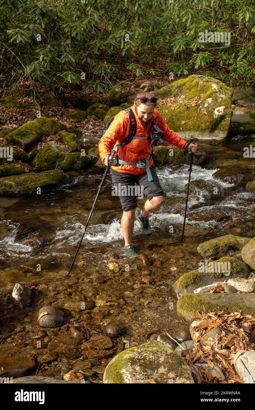 Female Hiker Emerges From Creek Ford In the Fall in Great Smoky ...
