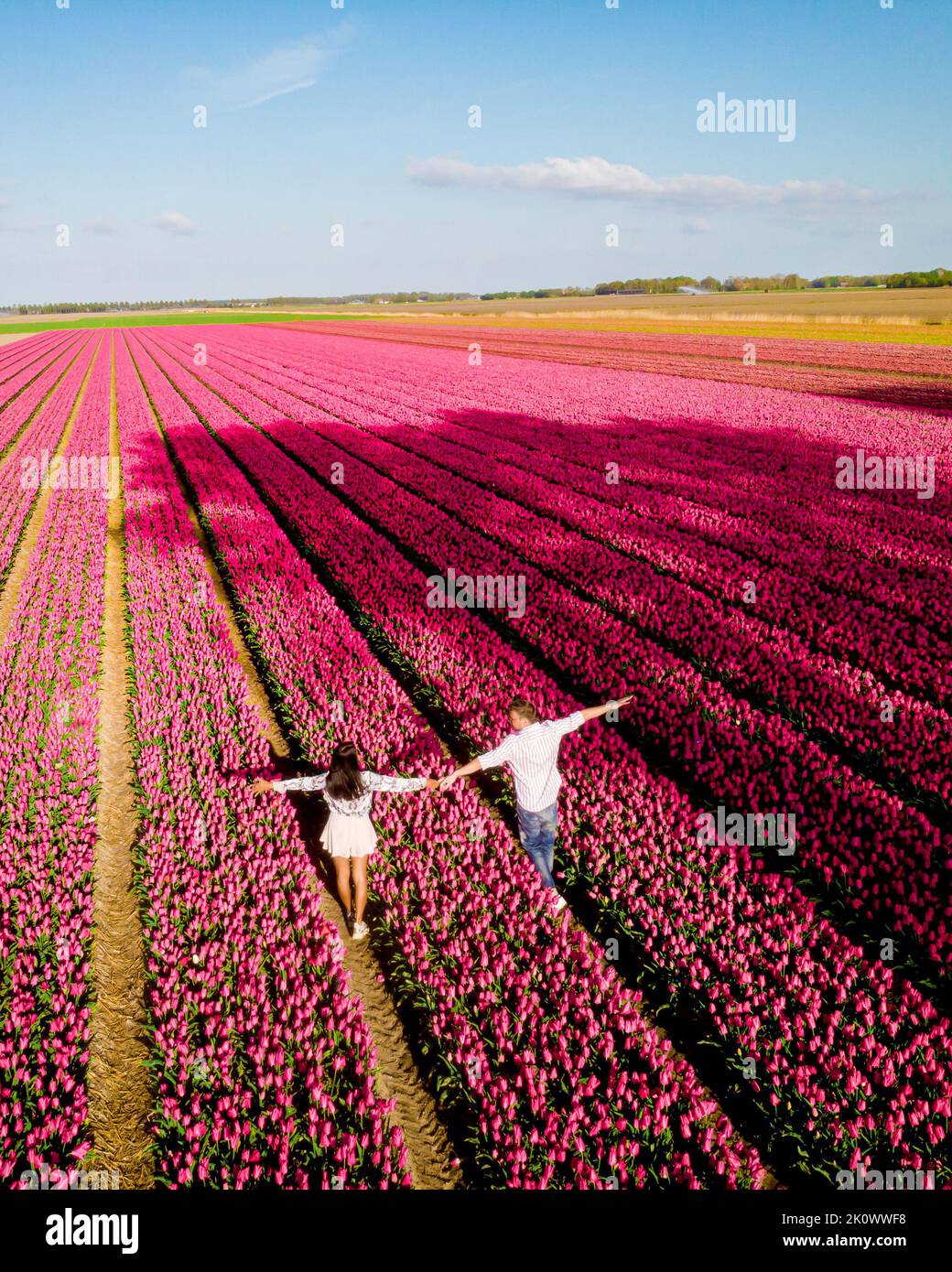 Men and women in flower fields seen from above with a drone in the ...