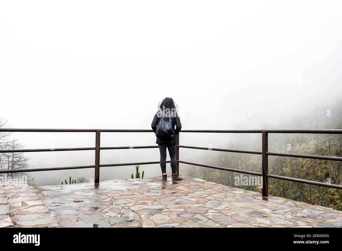 Tourist woman in Black coat is looking at the misty forest. Wanderlust ...