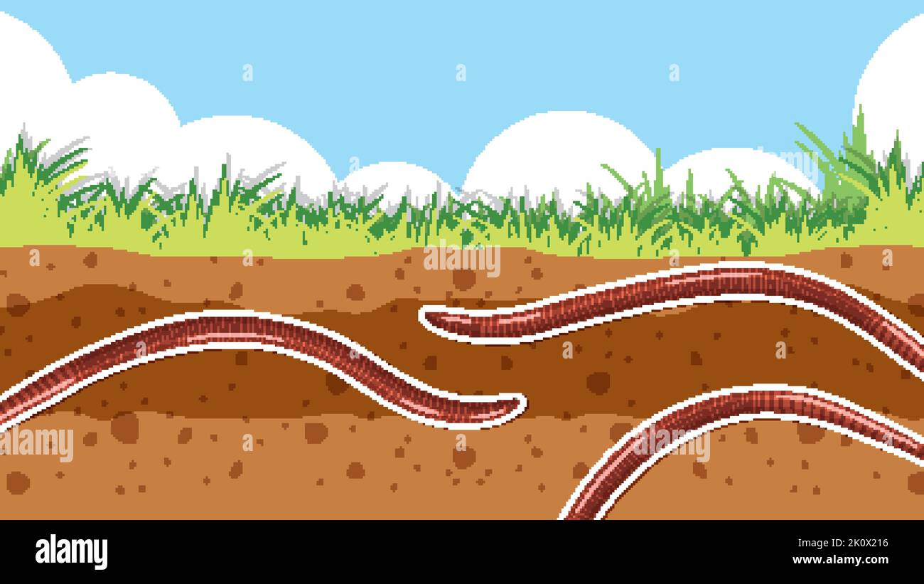 Background of earthworm in soil illustration Stock Vector Image & Art ...
