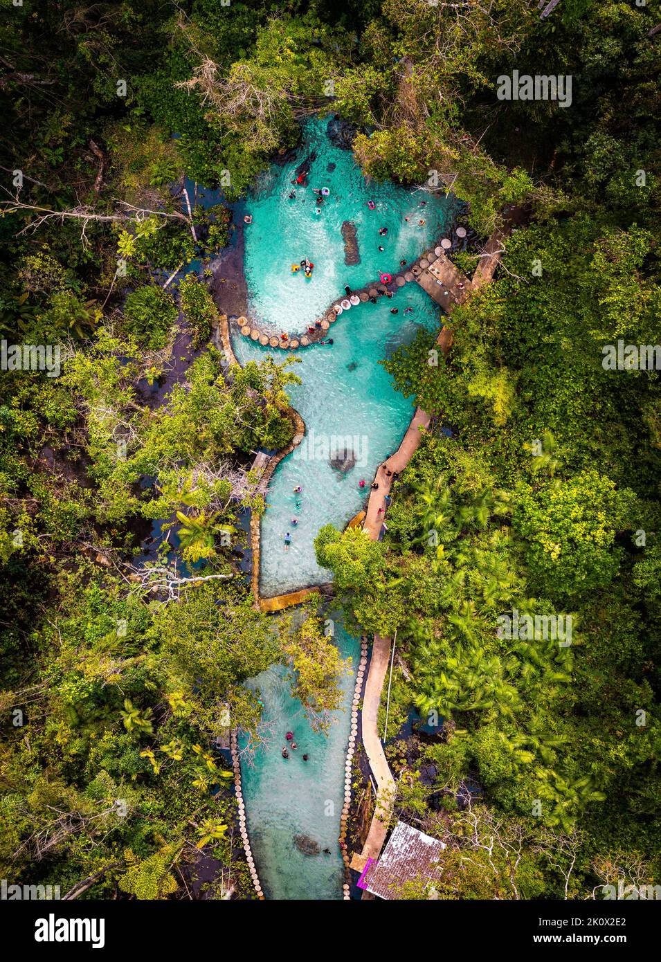 Ban Nam Rat Watershed Forest in Surat Thani, Thailand Stock Photo - Alamy