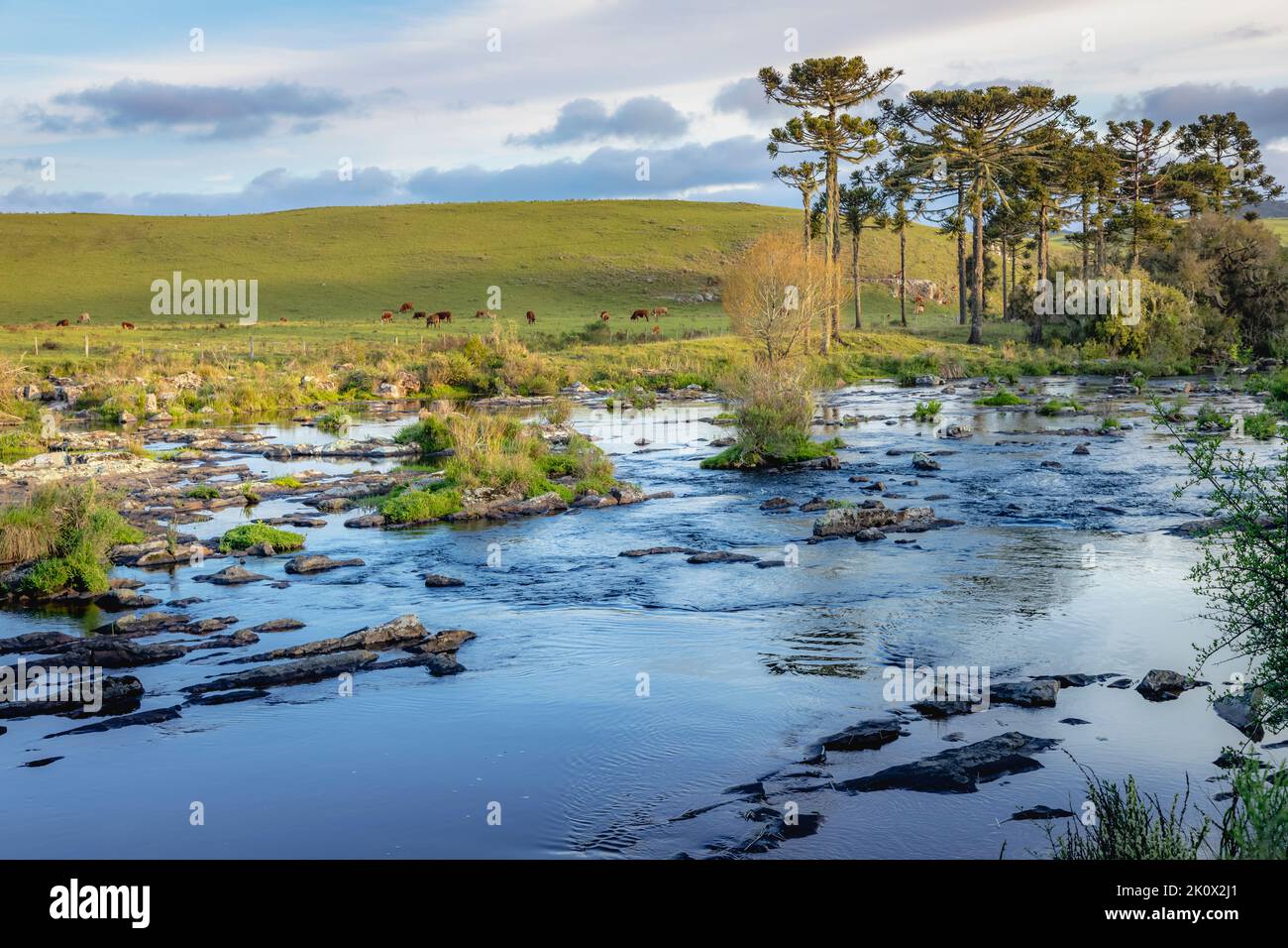 Southern Brazil countryside and river landscape at peaceful sunset ...