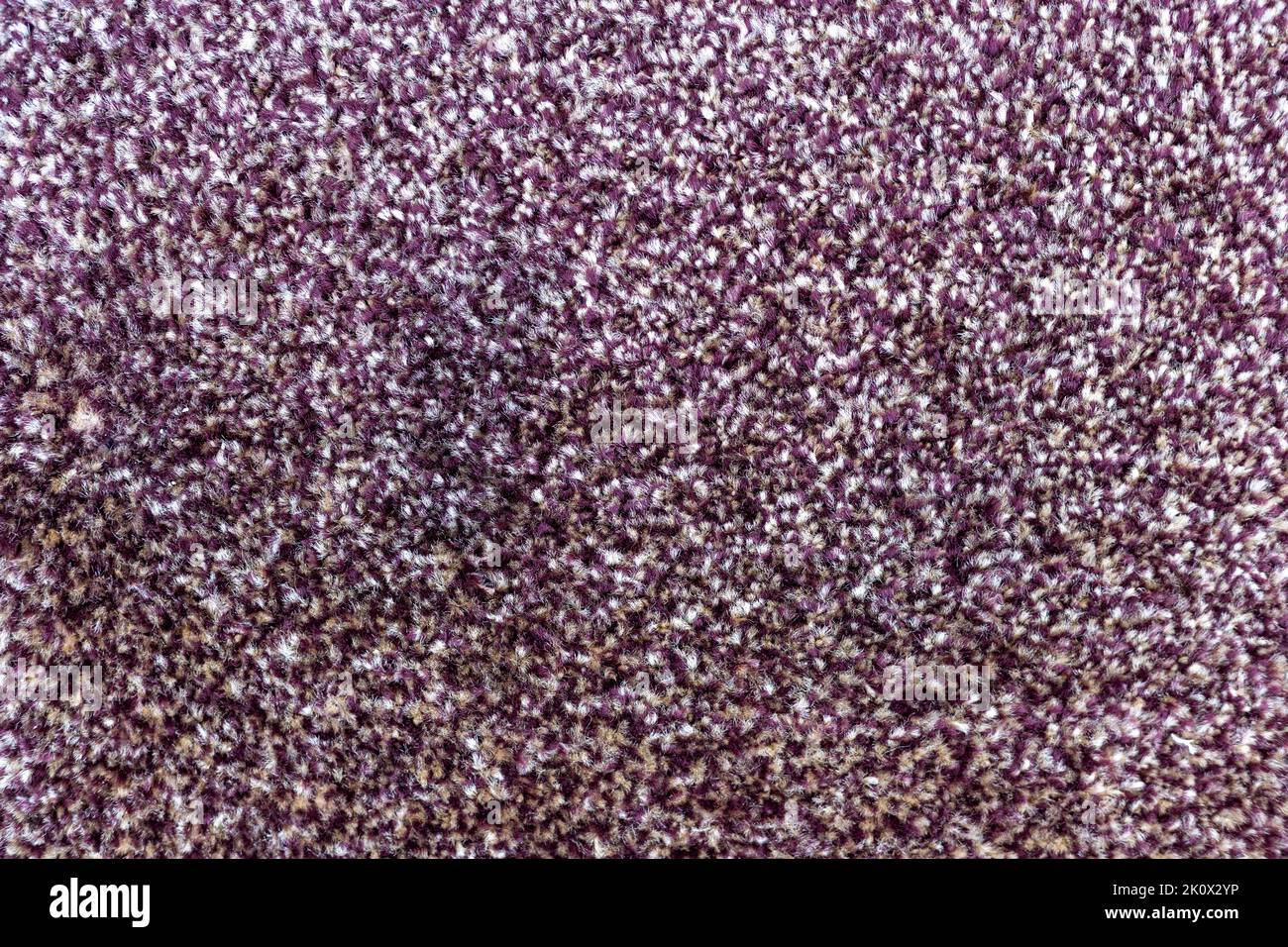 Brown shade carpet texture background closeup view Stock Photo - Alamy