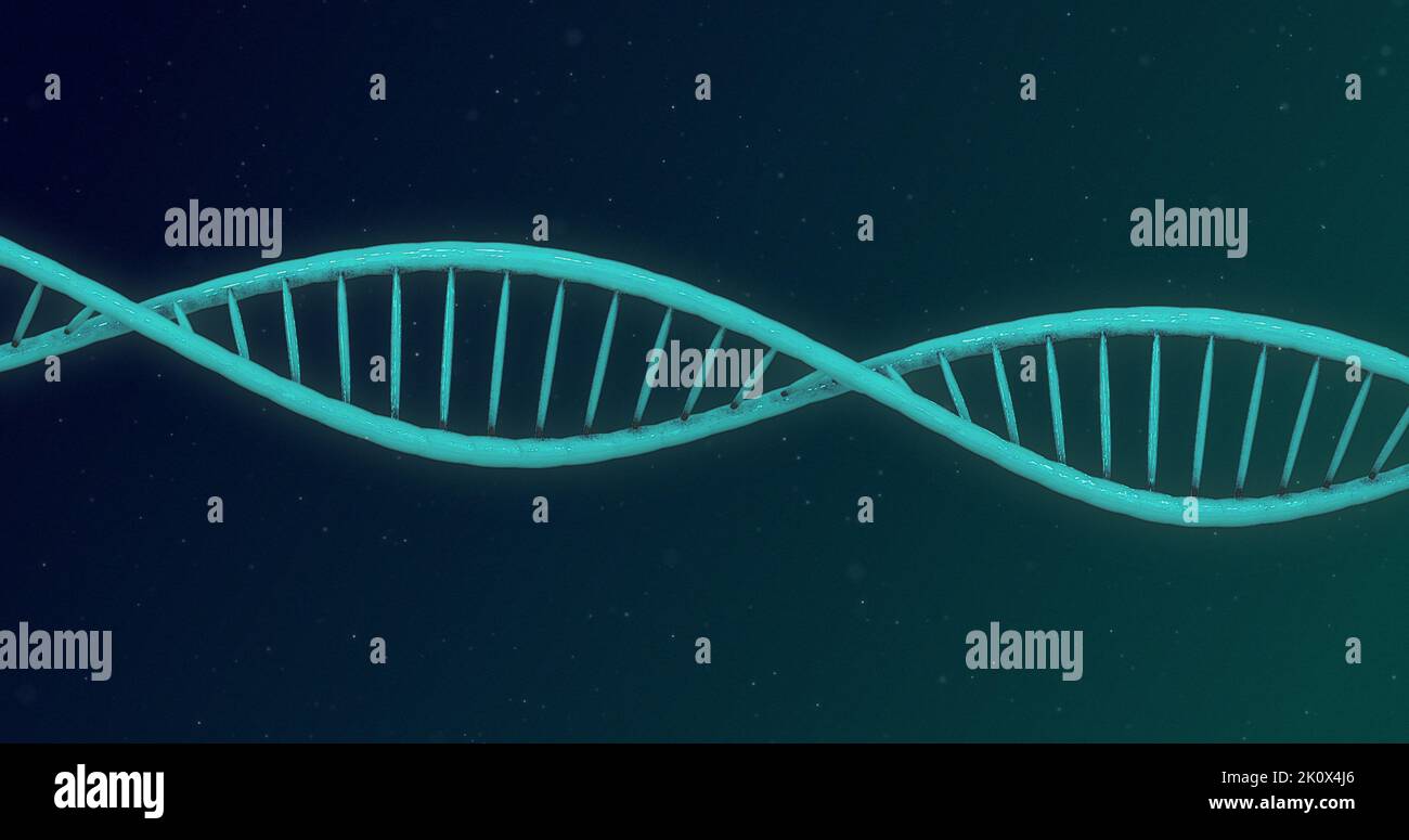 Image of blue glowing double helix DNA strand spinning on blue ...