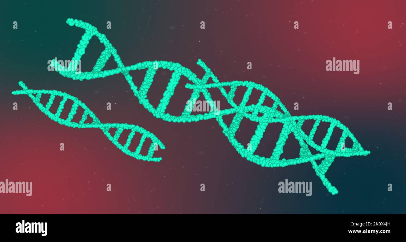 Image of multiple glowing green 3D double helix DNA strands spinning on ...