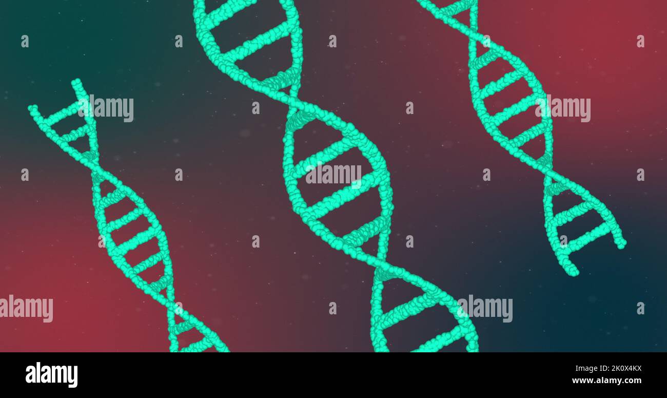 Image of multiple glowing green 3D double helix DNA strands spinning on ...