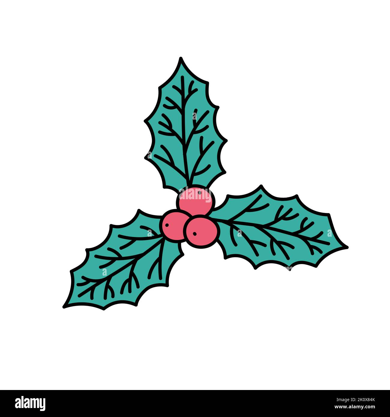 Christmas holly leaf doodles isolated. Vector illustration of three ...