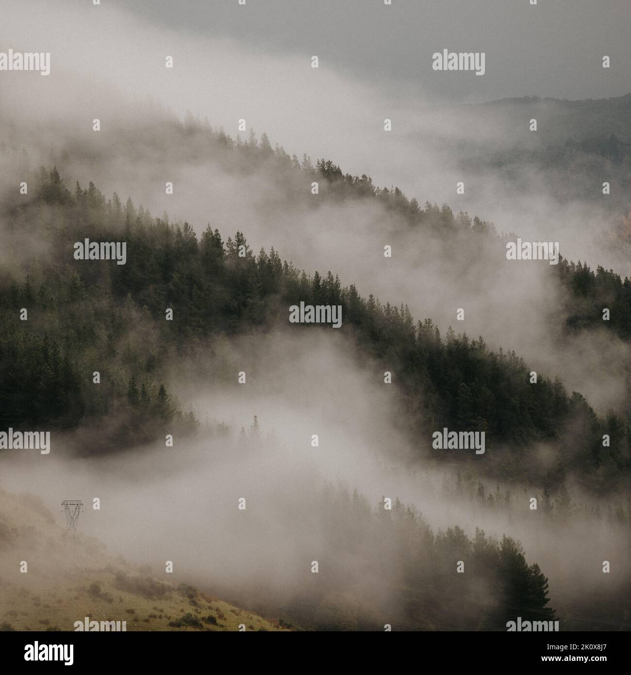 Fog text hi-res stock photography and images - Alamy