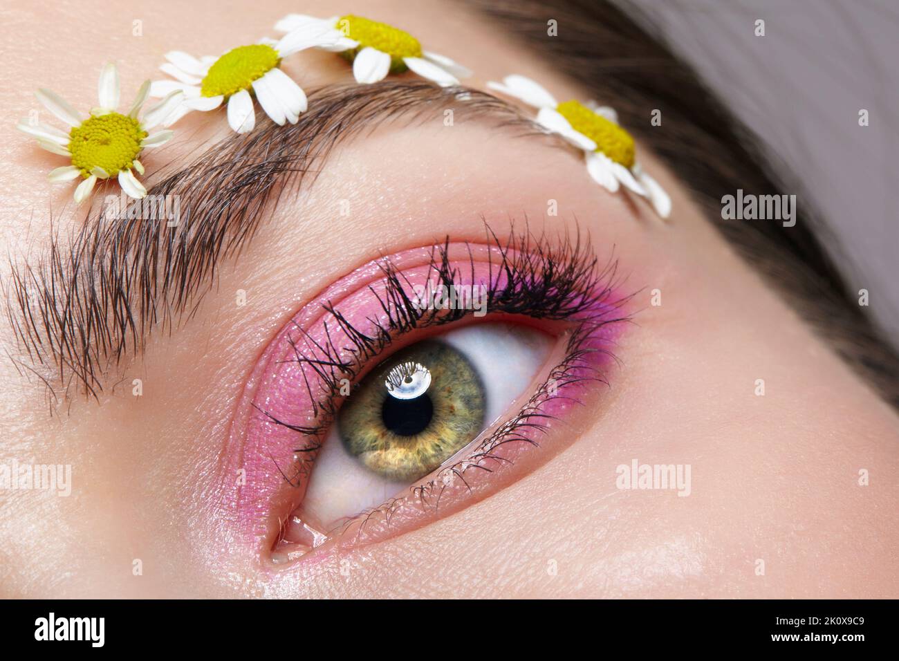 Closeup macro shot of human female eye. Woman with natural vogue face ...