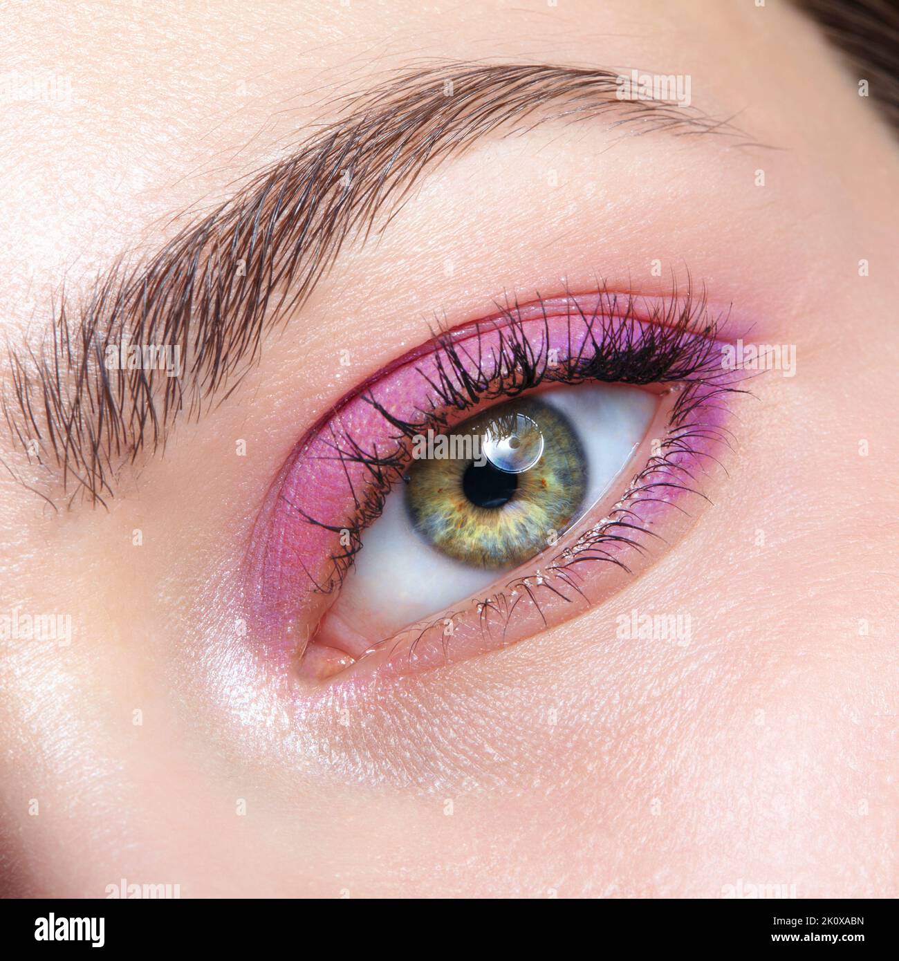 Closeup macro shot of human female eye. Woman with natural evening ...
