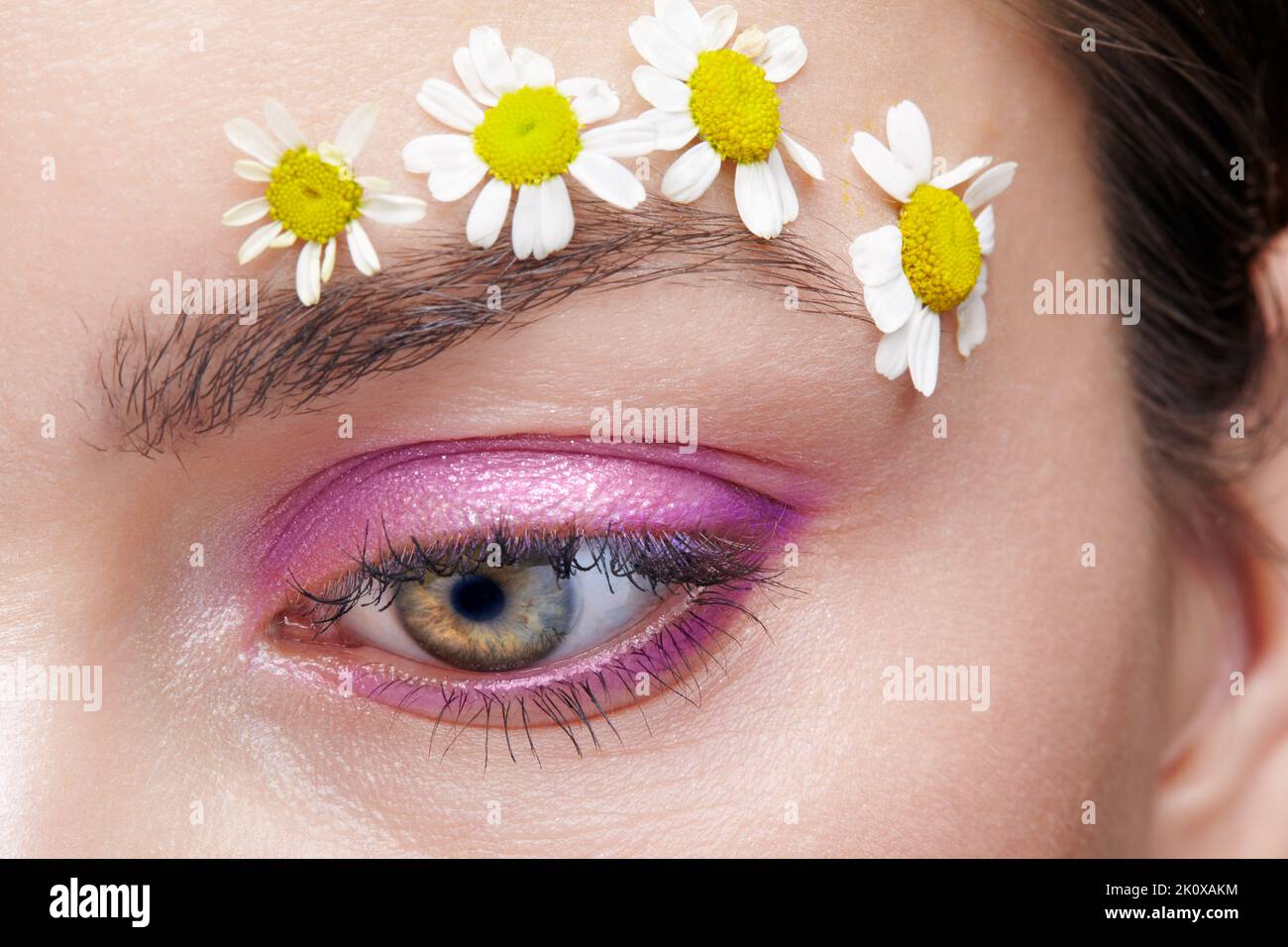 Closeup macro shot of human female eye. Woman with natural vogue face ...