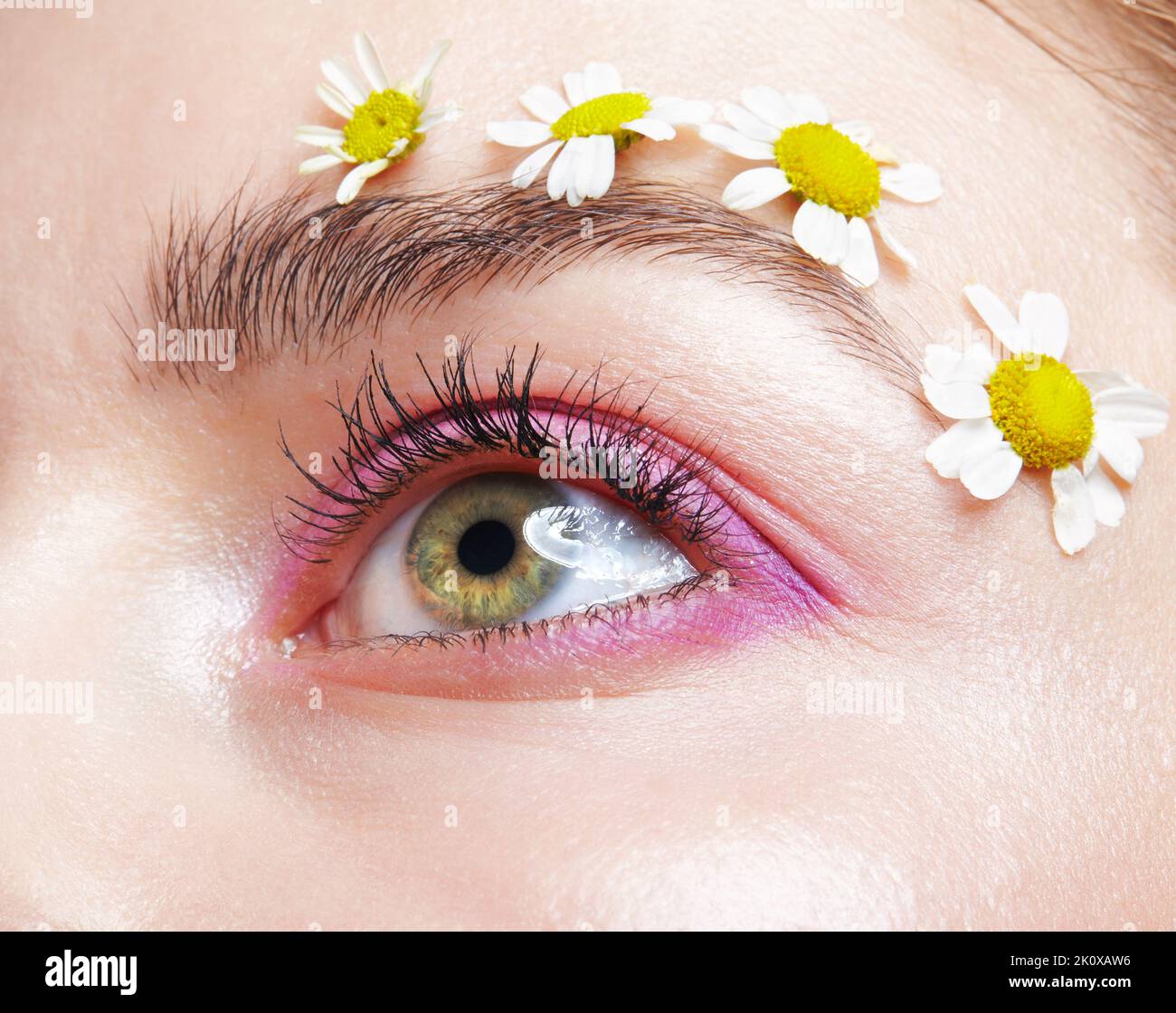 Closeup macro shot of human female eye. Woman with natural vogue face ...
