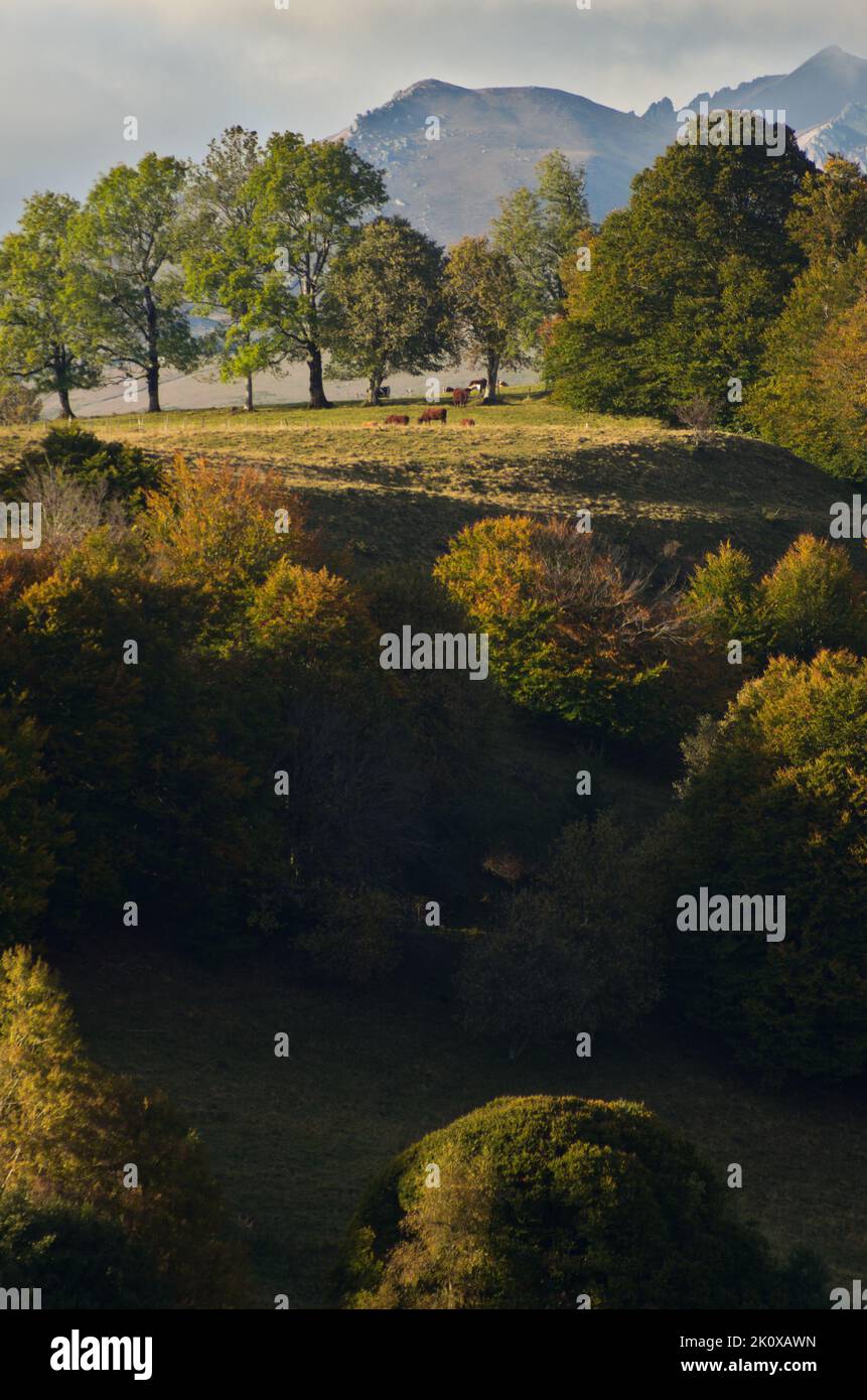 Automn color in the Center of France Stock Photo - Alamy
