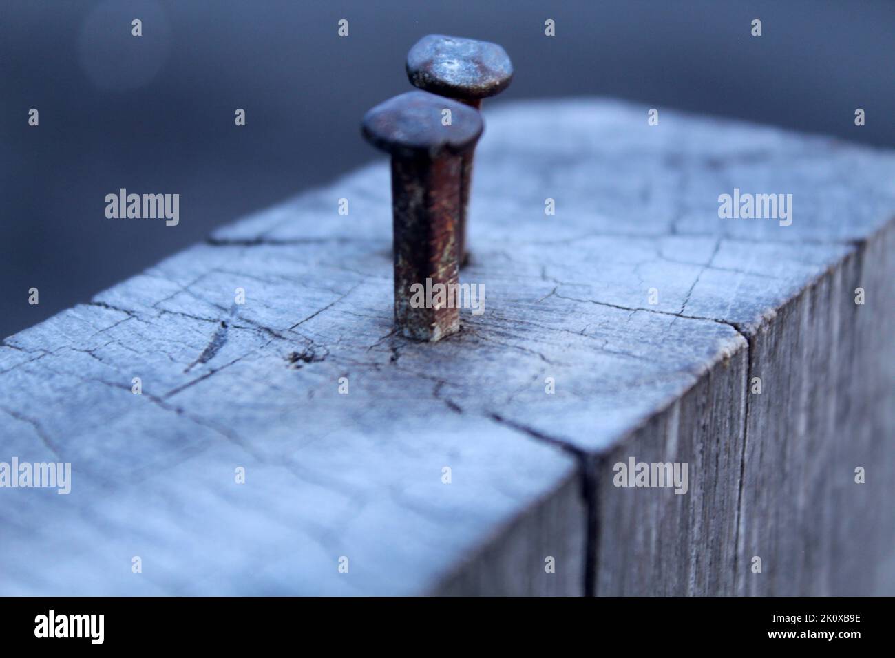 Nailed timber hi-res stock photography and images - Alamy