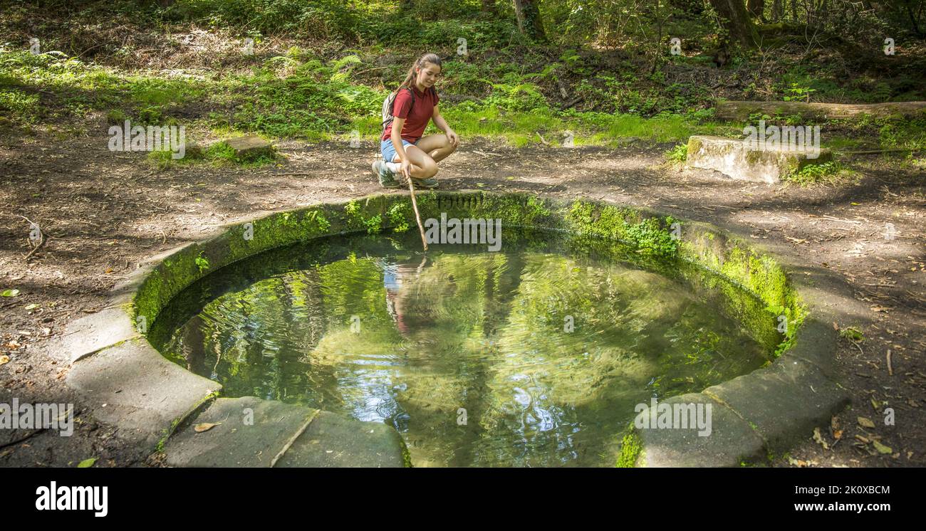 France. Auvergne. Allier (03). The Viljot fountain in the Troncais ...