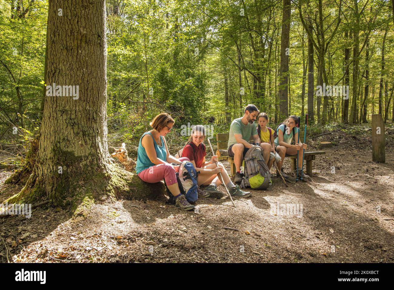 France. Auvergne. Allier (03). Family walk in the forest of Troncais ...