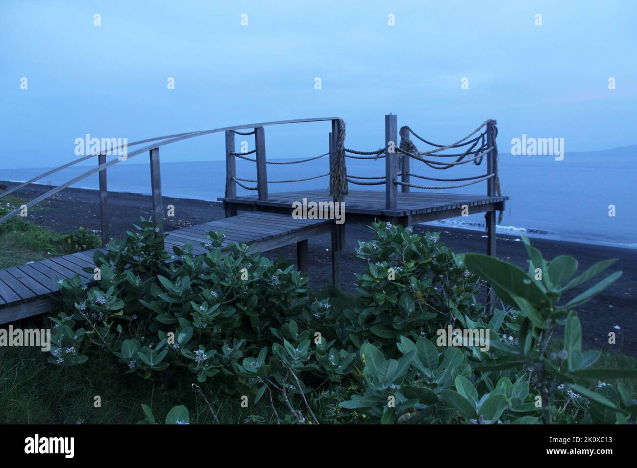 Natural wooden bridge surrounding by green wild plants on the beach at ...