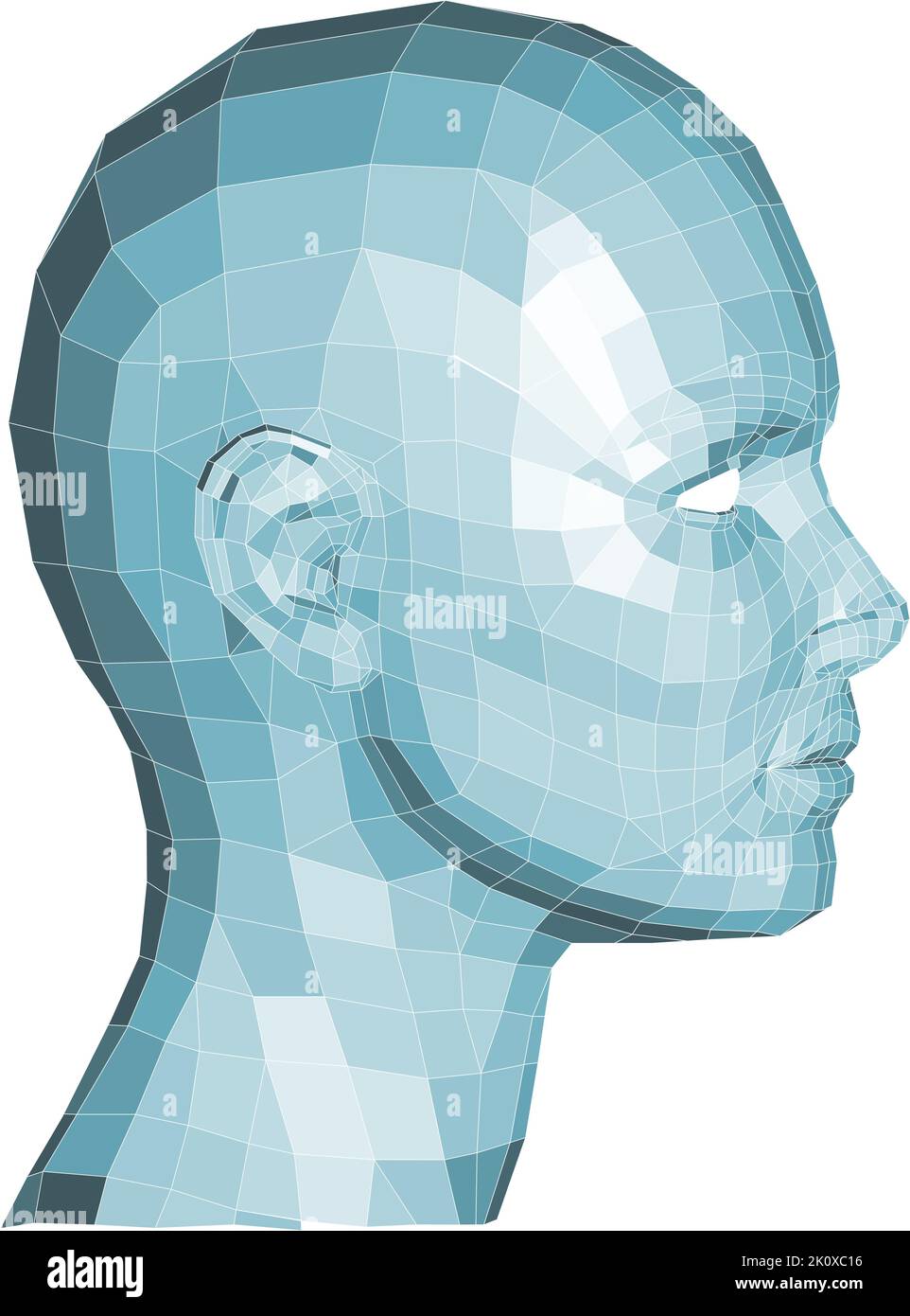 Face Wireframe 3D Technology Concept Stock Vector Image & Art - Alamy