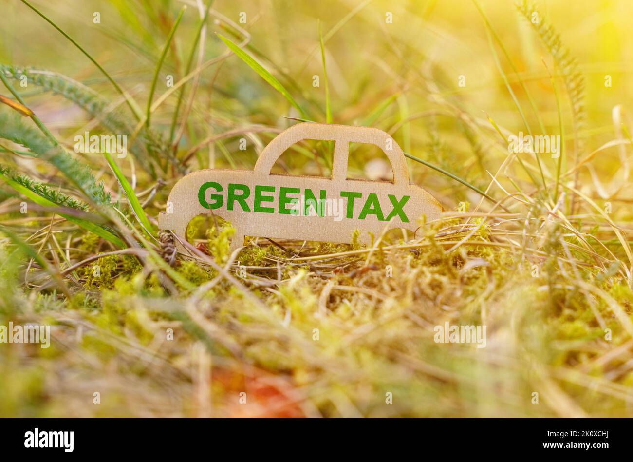 Ecology and transportation concept. There is a wooden car in the grass ...
