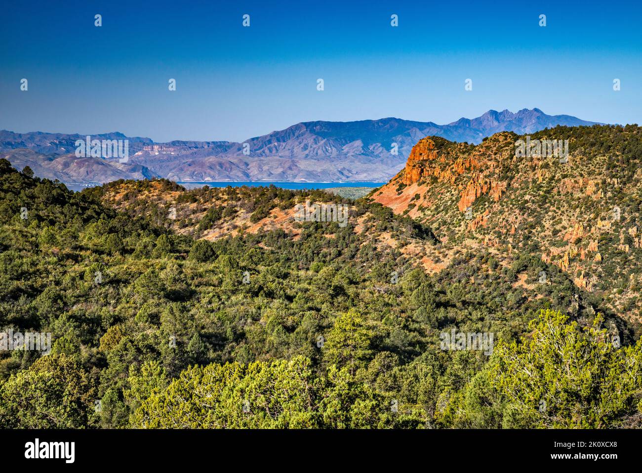 Theodore Roosevelt Lake, Mazatzal Mountains in distance, view from AZ ...